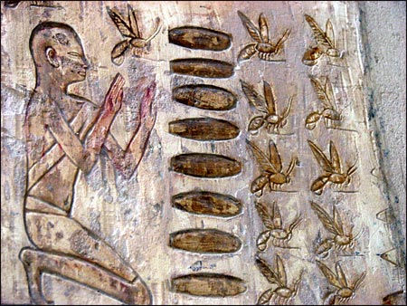 The Sweet Science Behind Ancient Egyptian Mummification: Honey